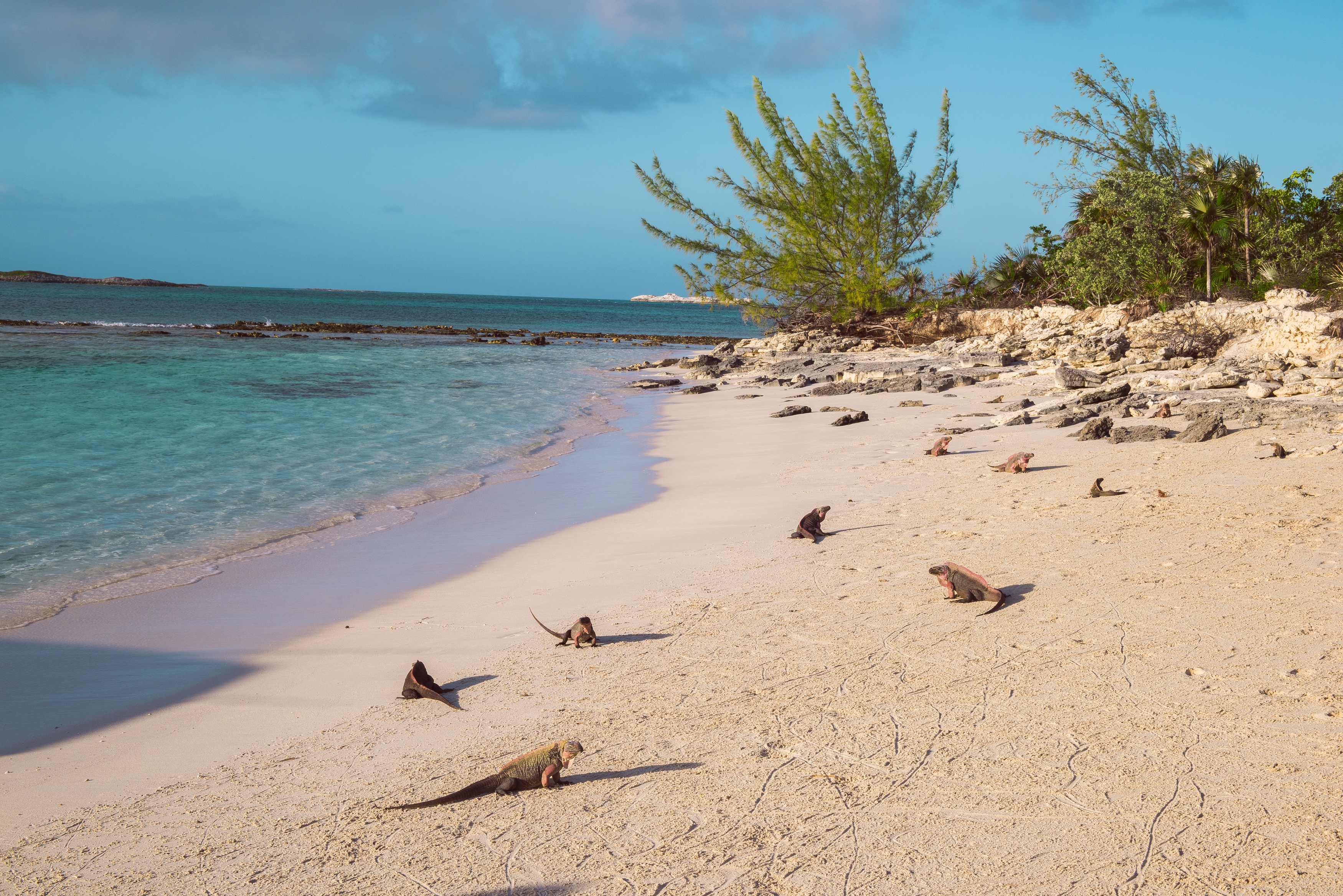 Things to Do in Exuma | Grand Isle Resort